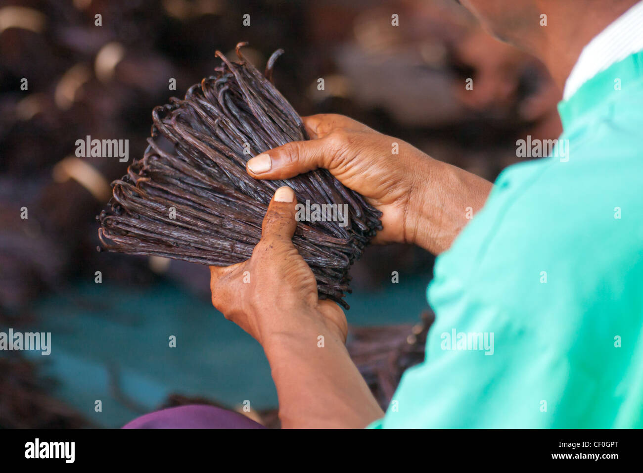 Preparation of vanilla in a factory in Antalaha, eastern Madagascar ...