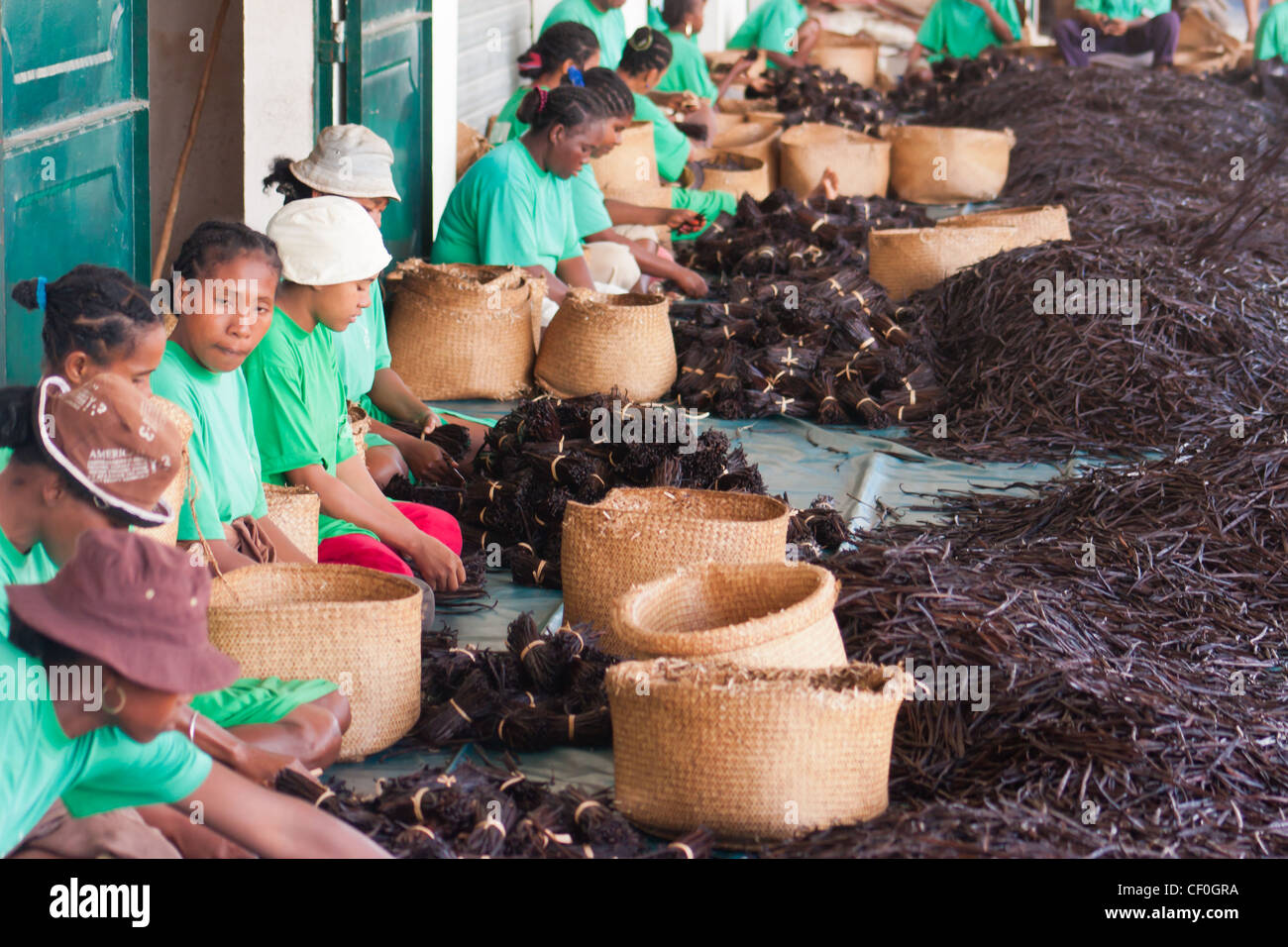 Preparation of vanilla in a factory in Antalaha, eastern Madagascar ...
