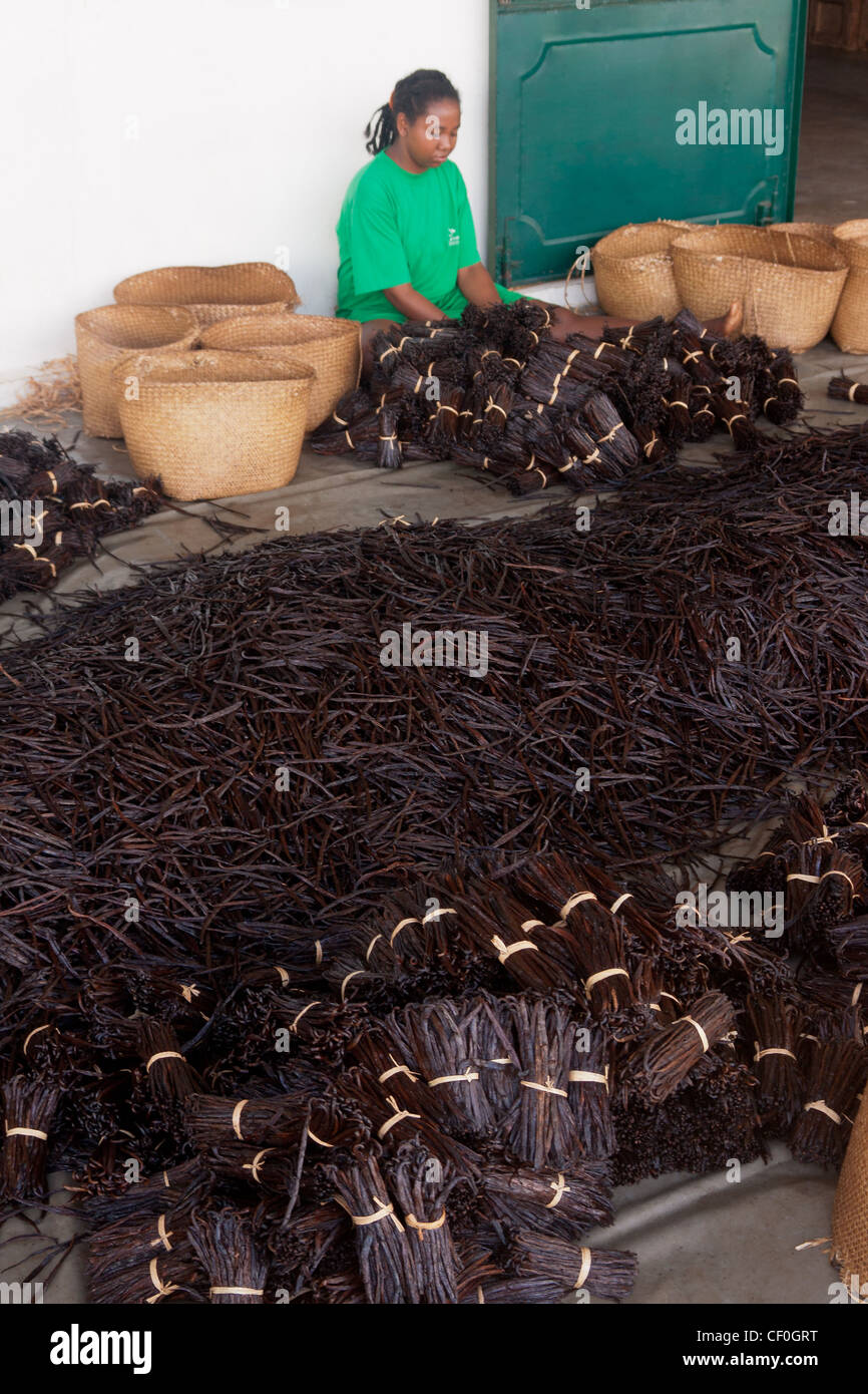 Vanilla bean plant hi-res stock photography and images - Alamy