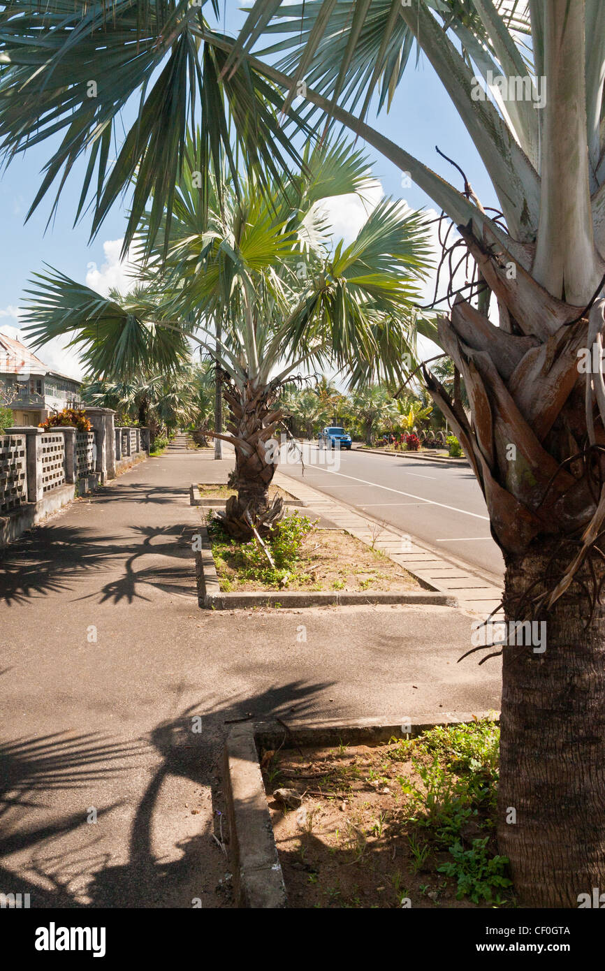 The streets of Antalaha, eastern Madagascar Stock Photo - Alamy
