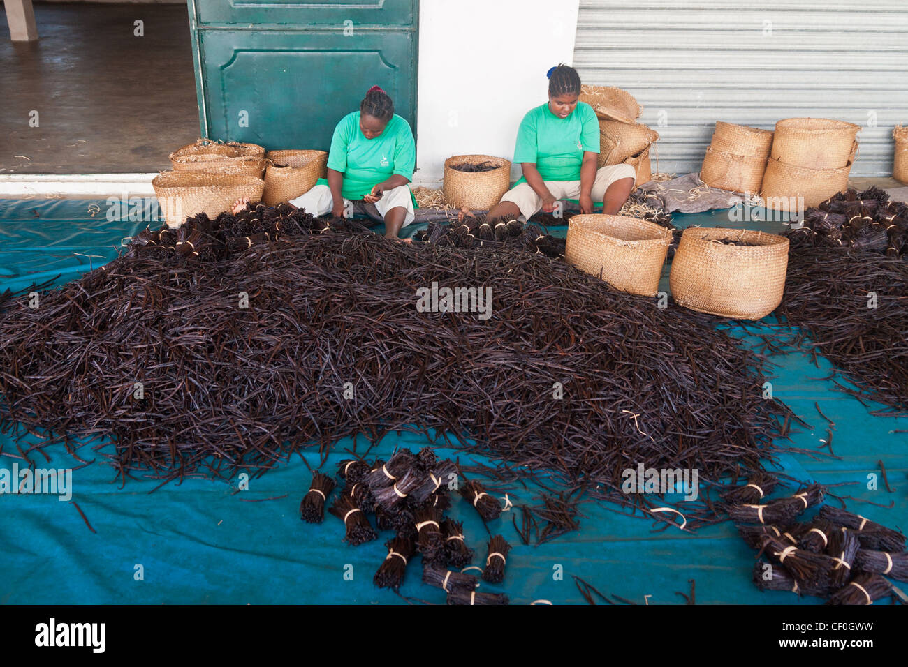Preparation of vanilla in a factory in Antalaha, eastern Madagascar ...