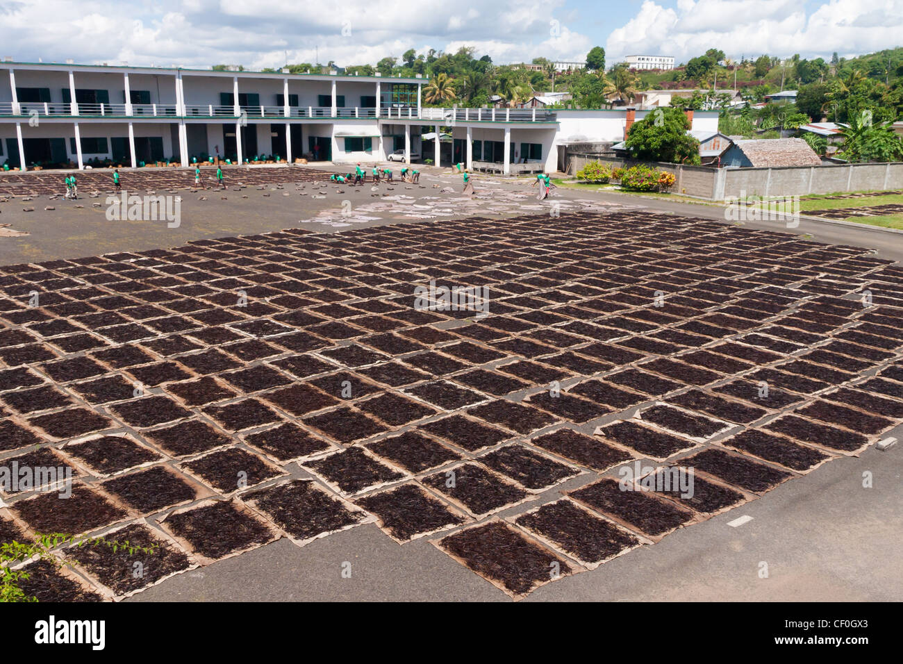 Drying vanilla in a factory in Antalaha, eastern Madagascar Stock Photo ...