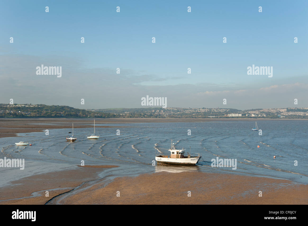 Wp y hi-res stock photography and images - Alamy