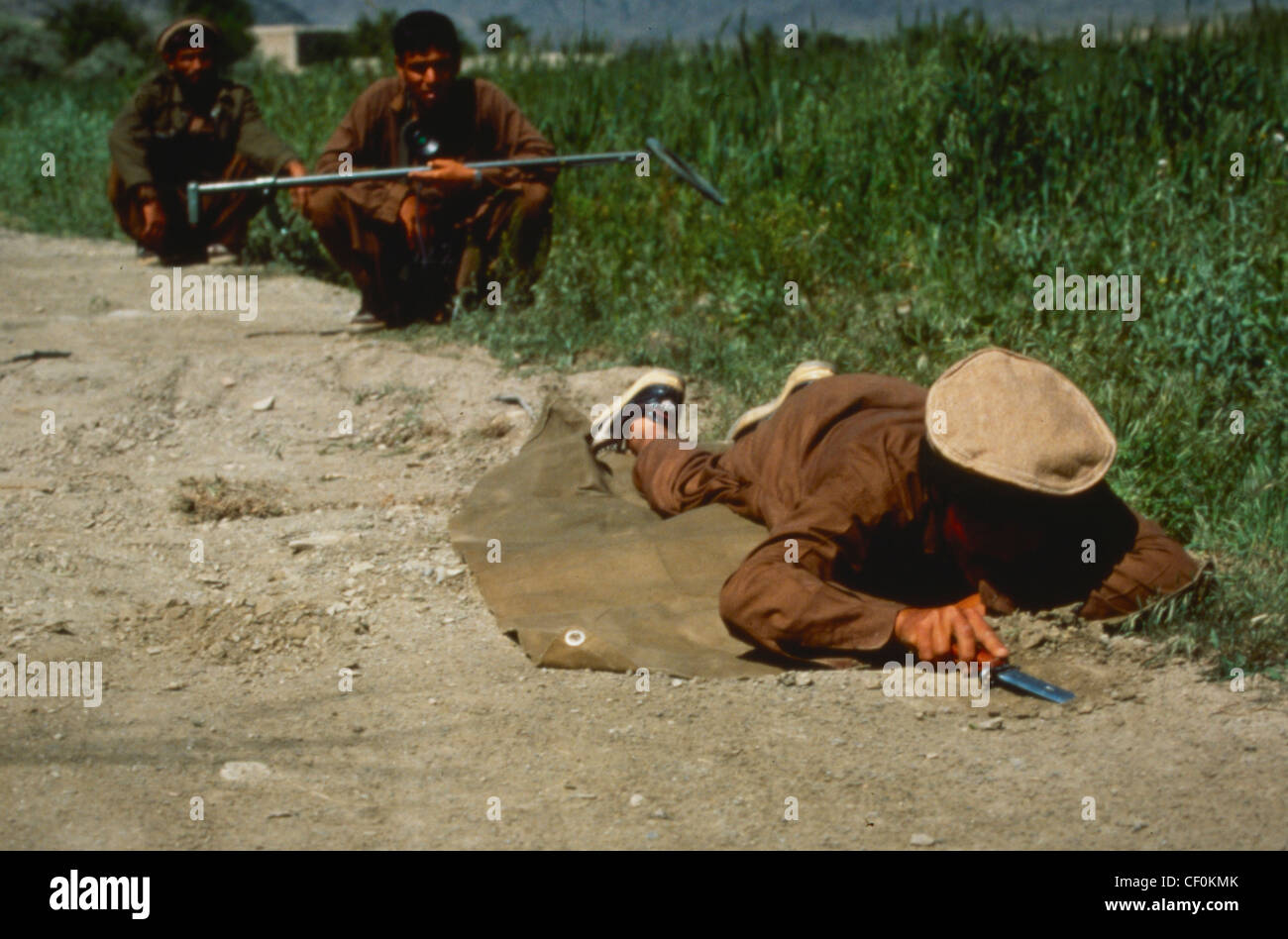 Hunting for Mines in Afghanistan Stock Photo - Alamy