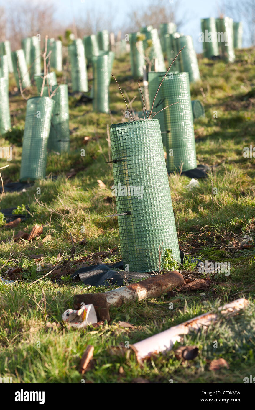 Plastic mesh tree protector guard hi-res stock photography and images ...
