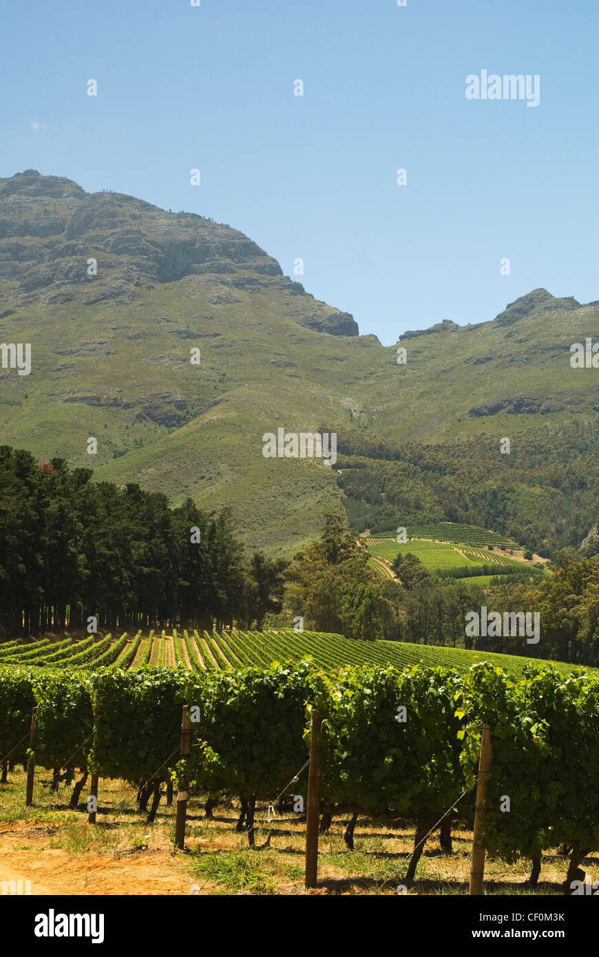 South africa boland hi-res stock photography and images - Alamy
