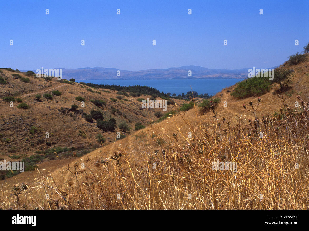Syrian hills hi-res stock photography and images - Alamy
