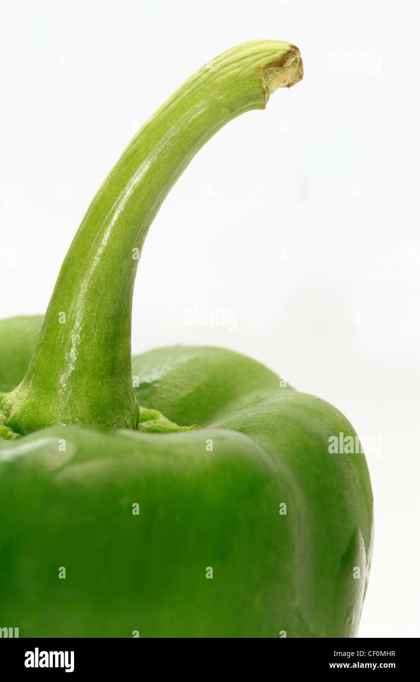 Green Bell Pepper Detail Stock Photo - Alamy