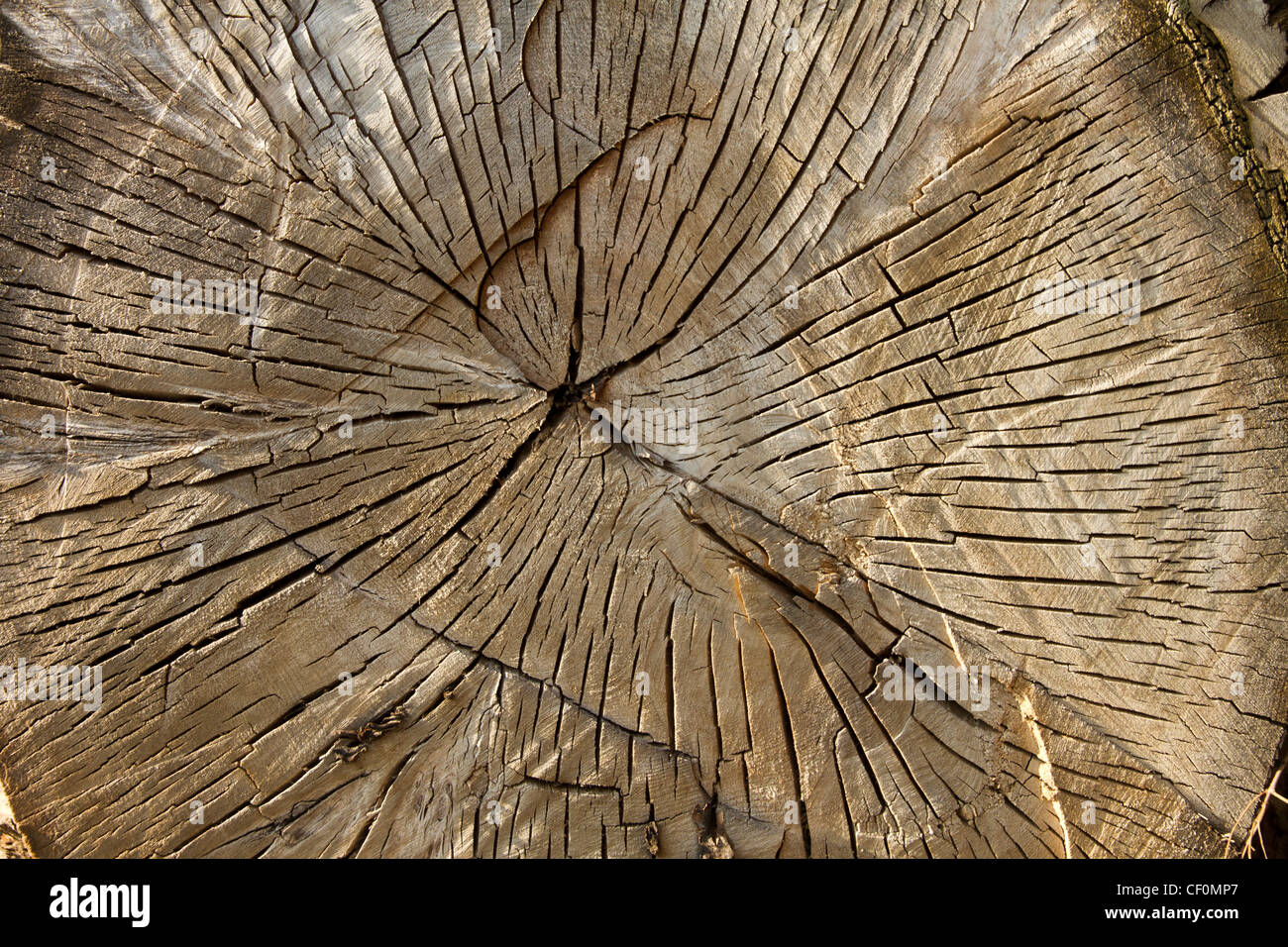 Intersection background hi-res stock photography and images - Alamy