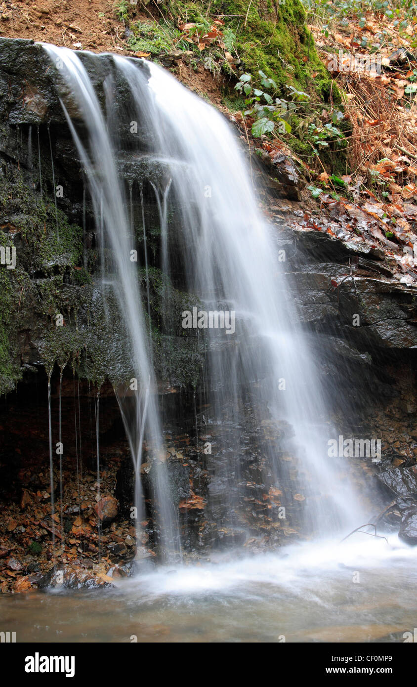 Waterfall in the Wyre forest, Worcestershire, England, Europe Stock ...