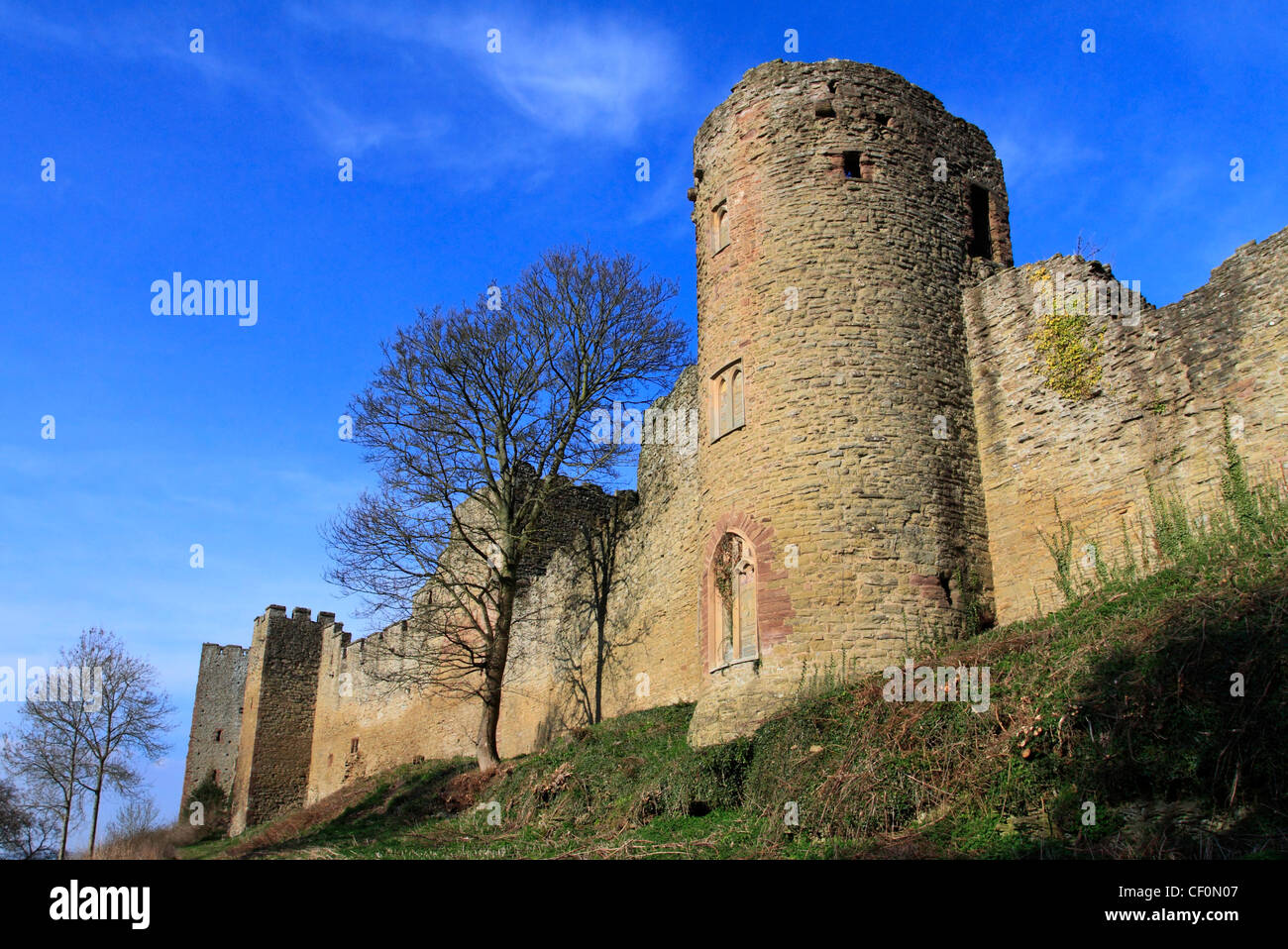 Ludlow castle keep medieval hi-res stock photography and images - Alamy