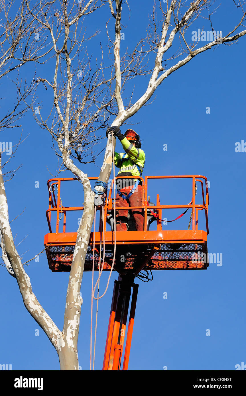 Platform cutting hi-res stock photography and images - Alamy