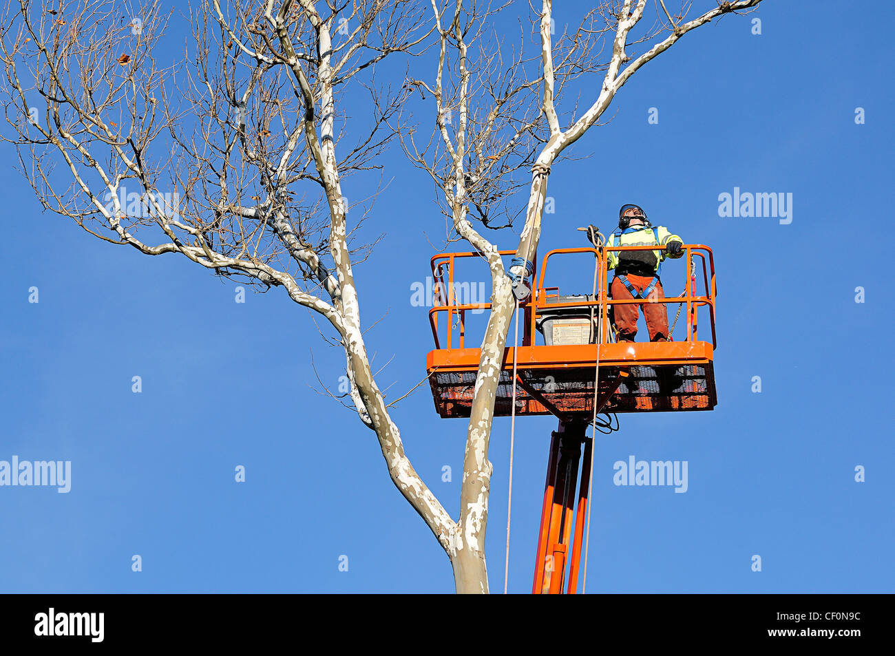 Platform cutting hi-res stock photography and images - Alamy