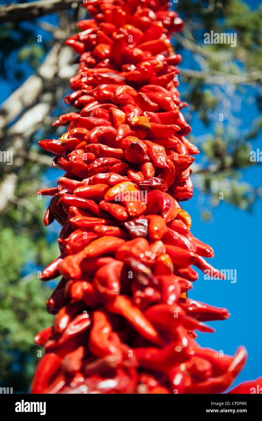 Sun drying pepper hi-res stock photography and images - Alamy