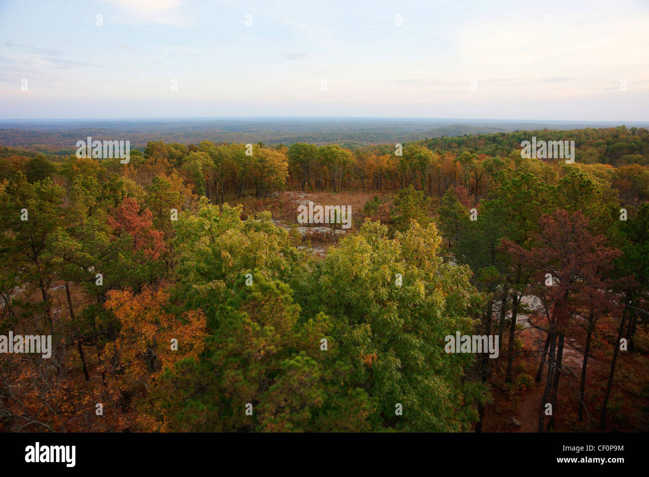 ozarks forest in missouri during autumn or fall Stock Photo - Alamy