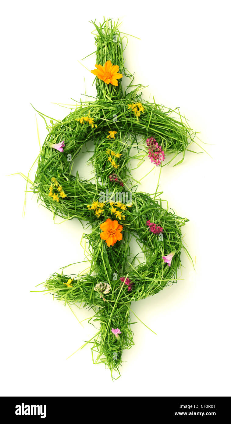 Dollar sign made of flowers and grass isolated on white Stock Photo - Alamy