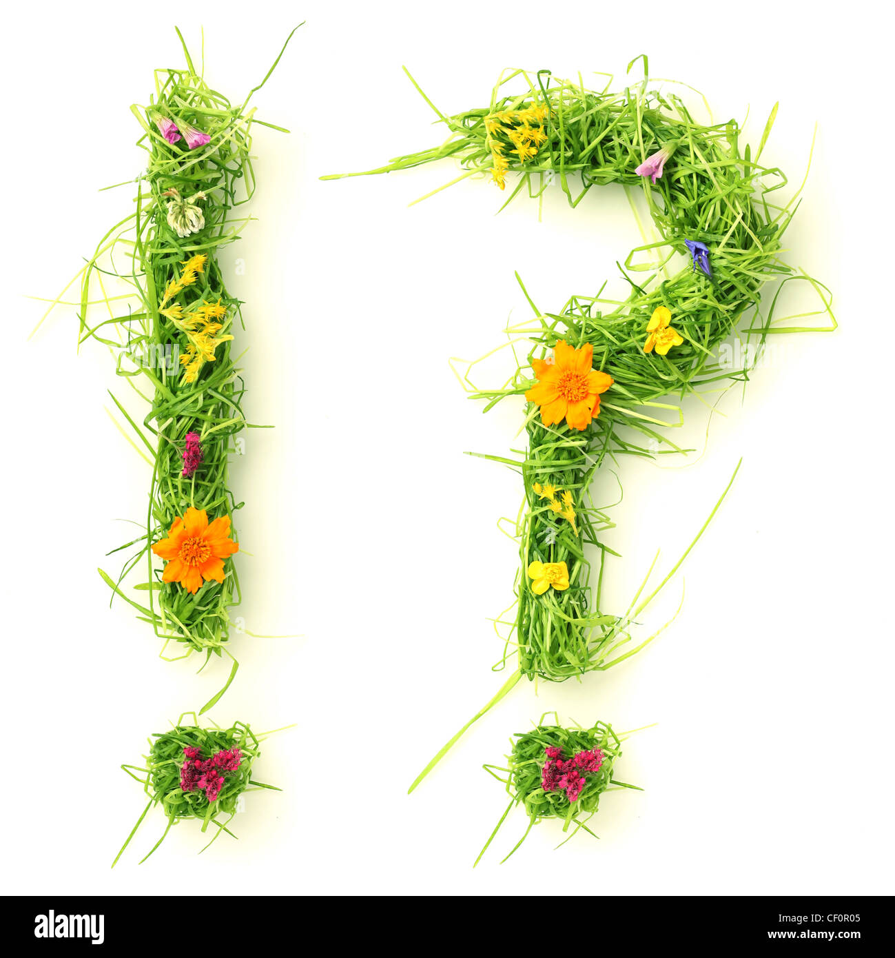Question mark & exclamation mark made of flowers and grass isolated on ...