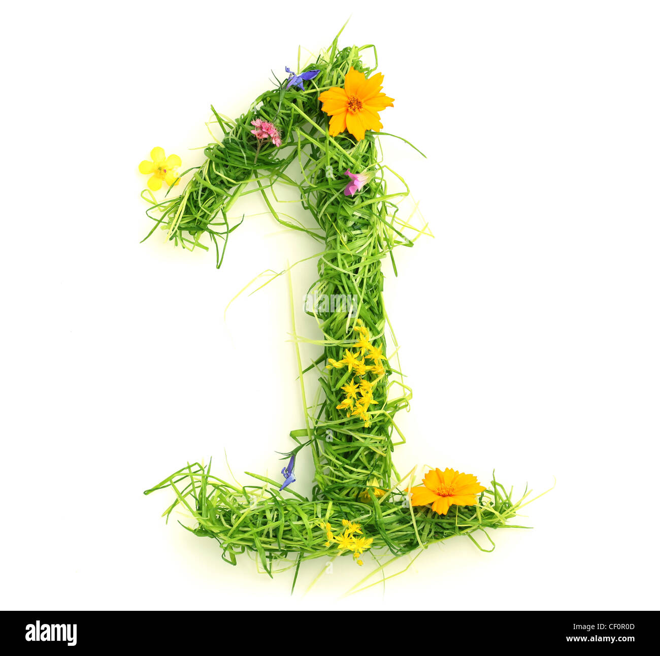 Numbers made of flowers and grass isolated on white Stock Photo - Alamy