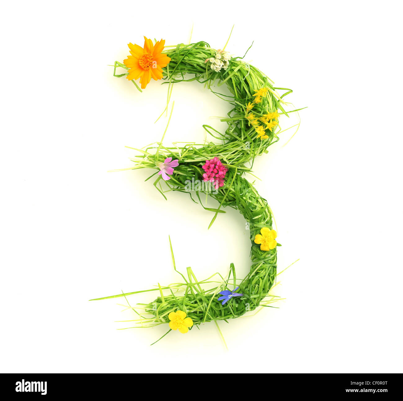 Numbers made of flowers and grass isolated on white Stock Photo - Alamy