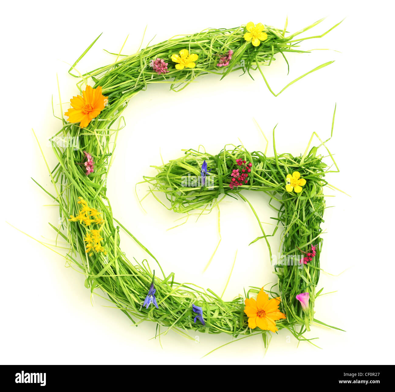 Letters made of flowers and grass isolated on white Stock Photo - Alamy