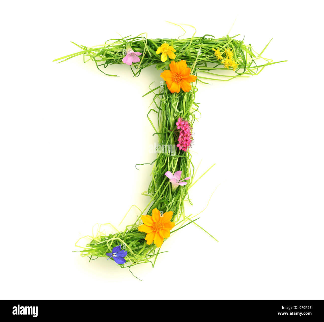 Letters made of flowers and grass isolated on white Stock Photo - Alamy