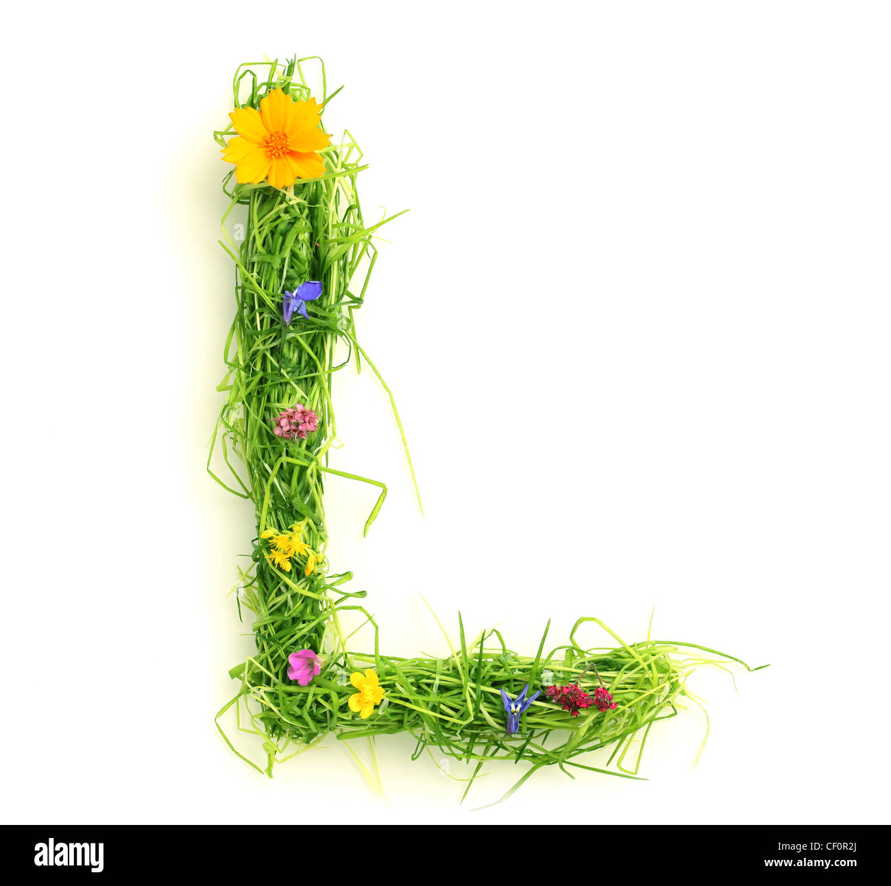 Letters made of flowers and grass isolated on white Stock Photo - Alamy