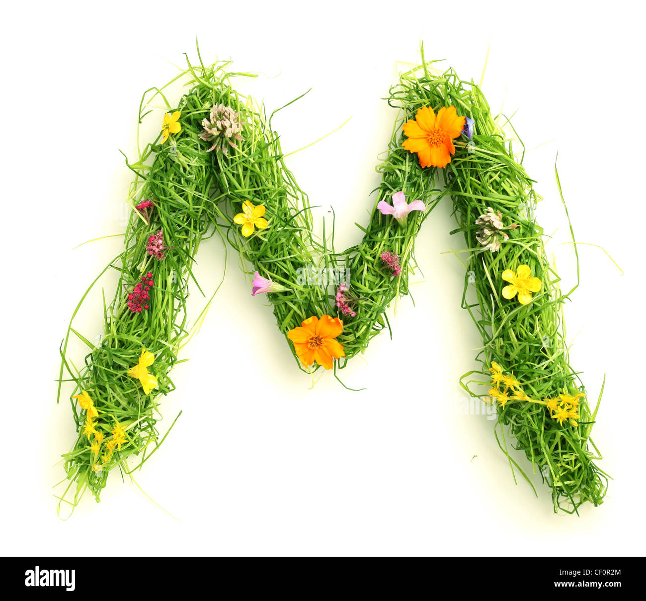 Letters made of flowers and grass isolated on white Stock Photo - Alamy