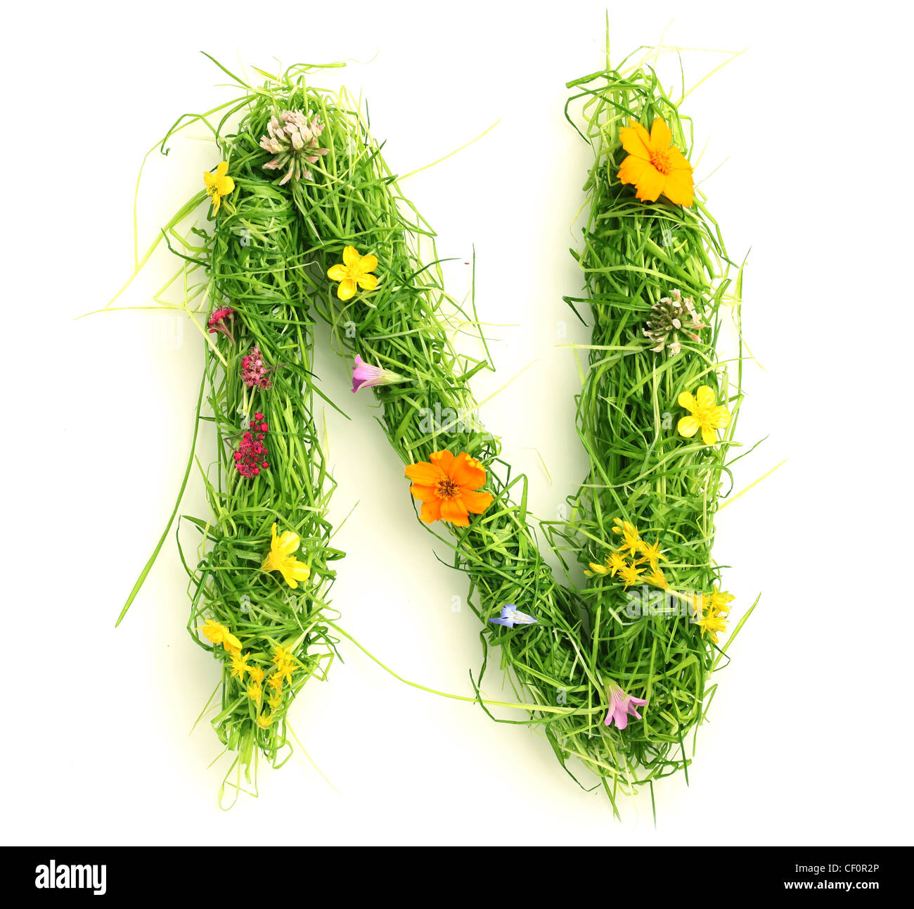 Letters made of flowers and grass isolated on white Stock Photo - Alamy