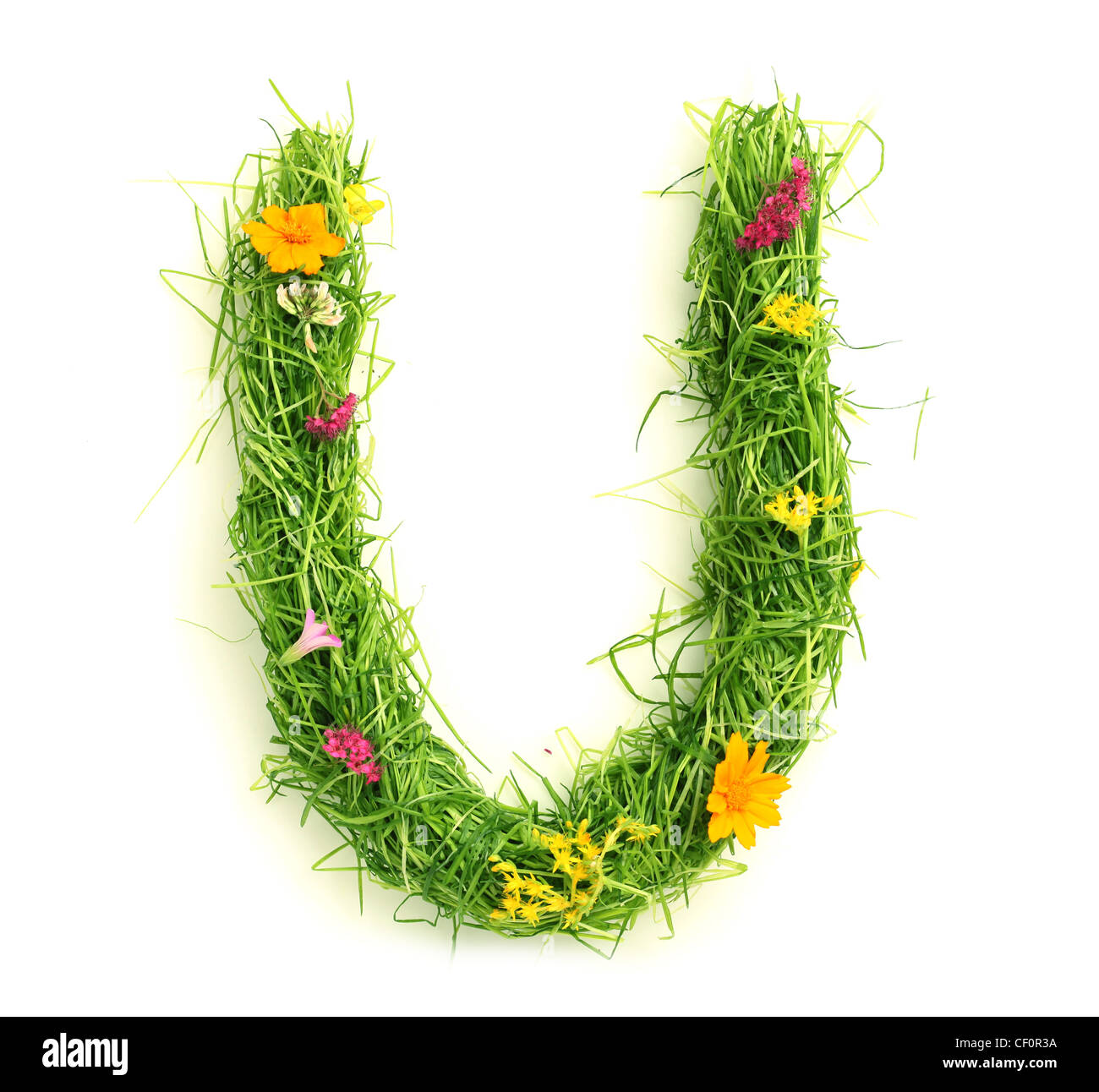 Letters made of flowers and grass isolated on white Stock Photo - Alamy