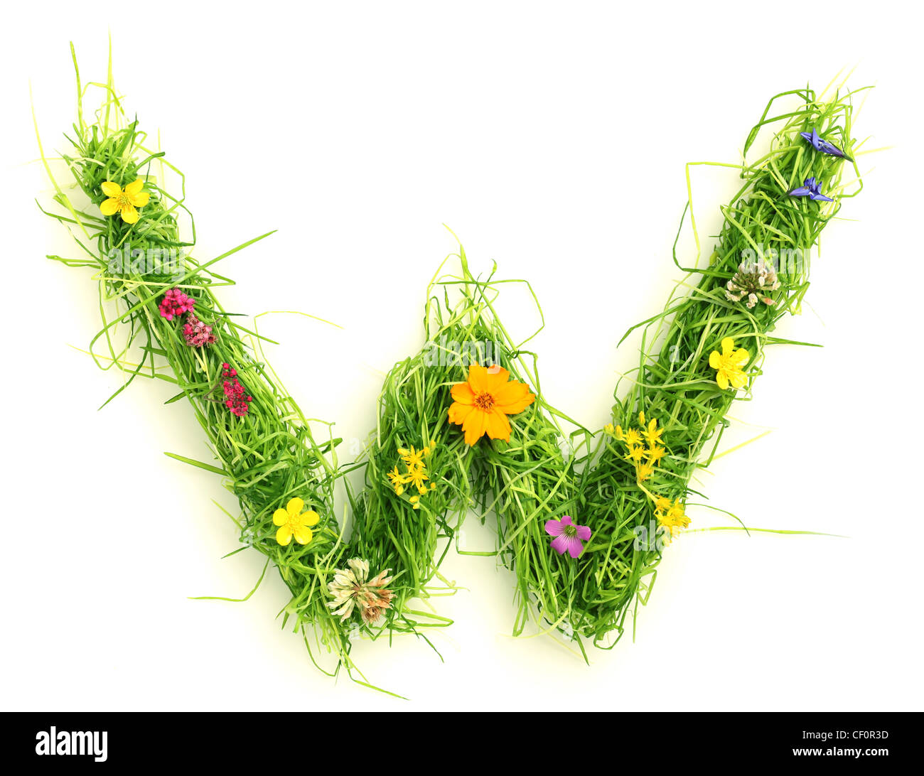 Letters made of flowers and grass isolated on white Stock Photo - Alamy