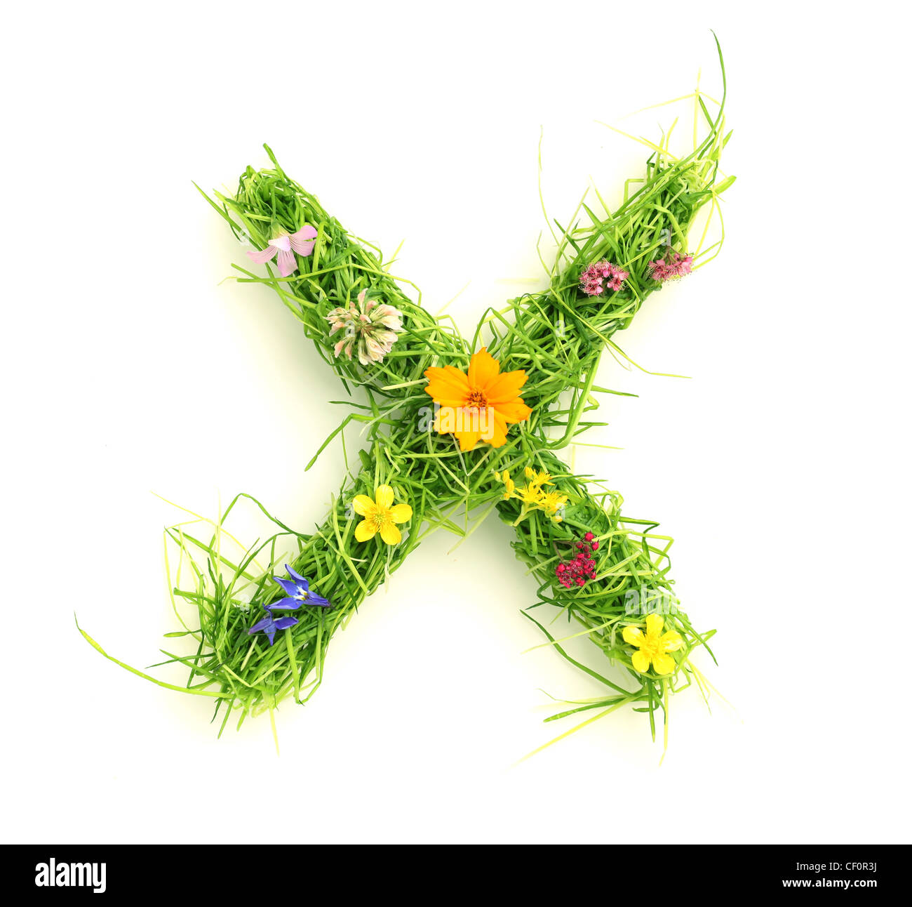 Letters made of flowers and grass isolated on white Stock Photo - Alamy