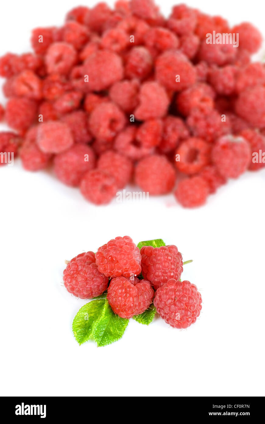 fresh raspberry closeup on a white background Stock Photo - Alamy