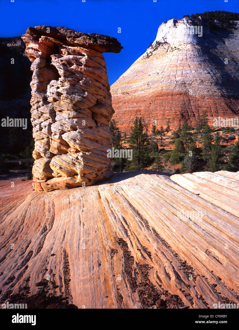 Beehive rock formations of Zion National Park in southern Utah, USA ...