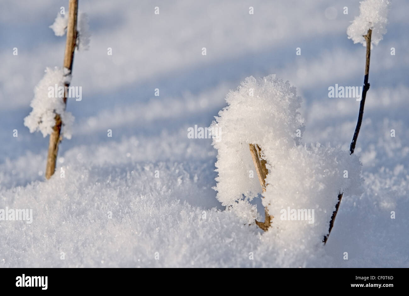Interesting shapes in ice hi-res stock photography and images - Alamy