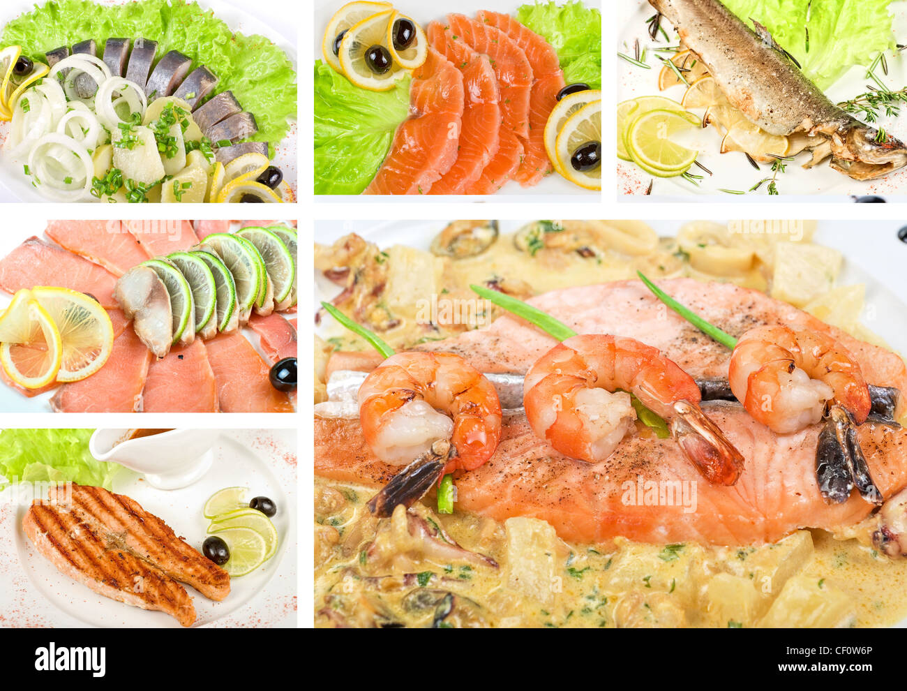 Set of different tasty fish dish Stock Photo - Alamy
