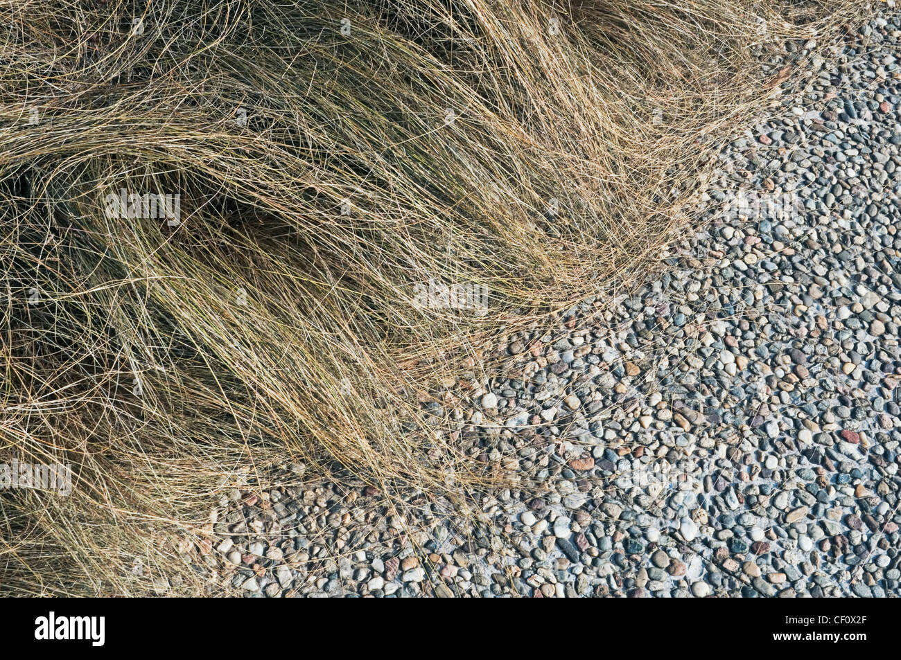 Dried grass along stone pathway Stock Photo - Alamy