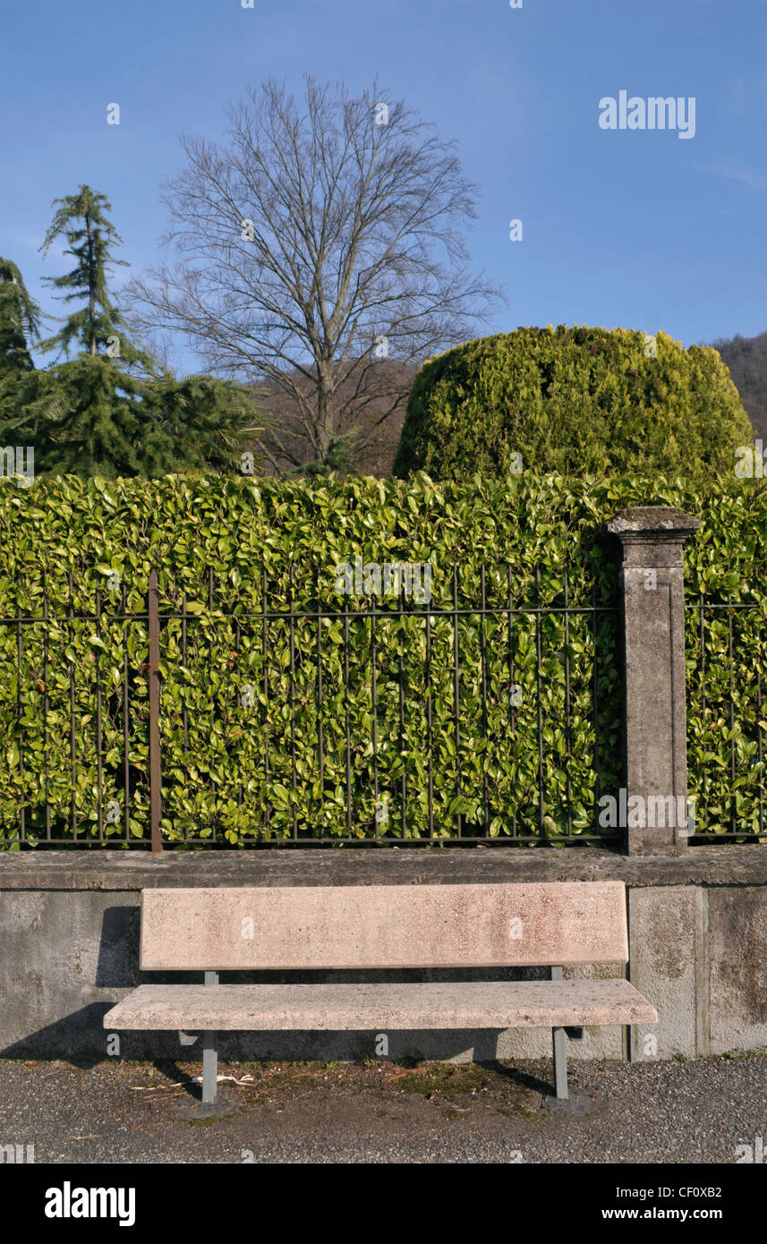 stone bench by a garden hedge Stock Photo - Alamy