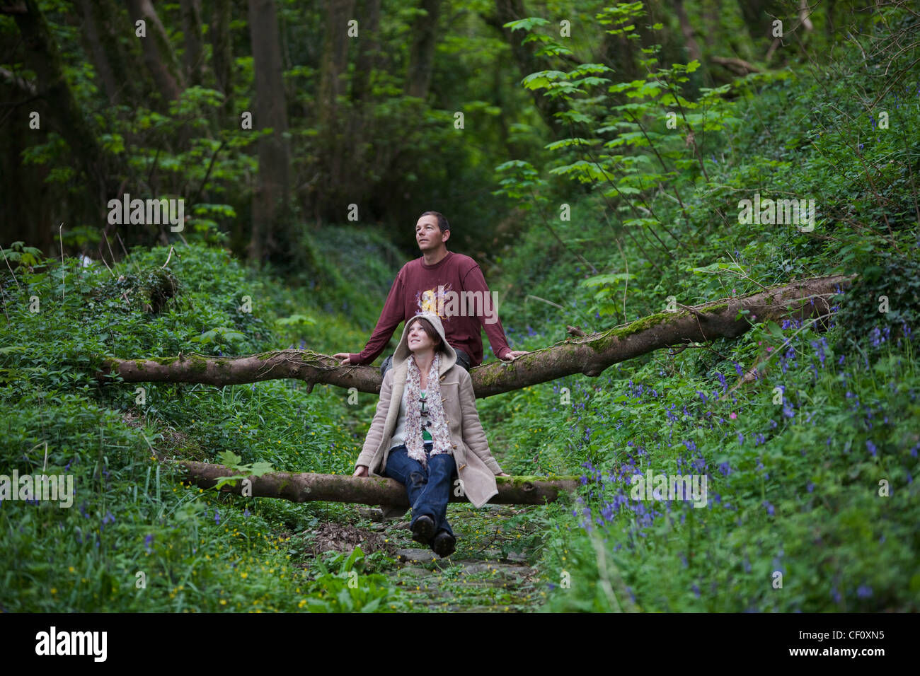 UK, Cornwall, Halford, Padgagarrack Wood, Male and female sitting on ...