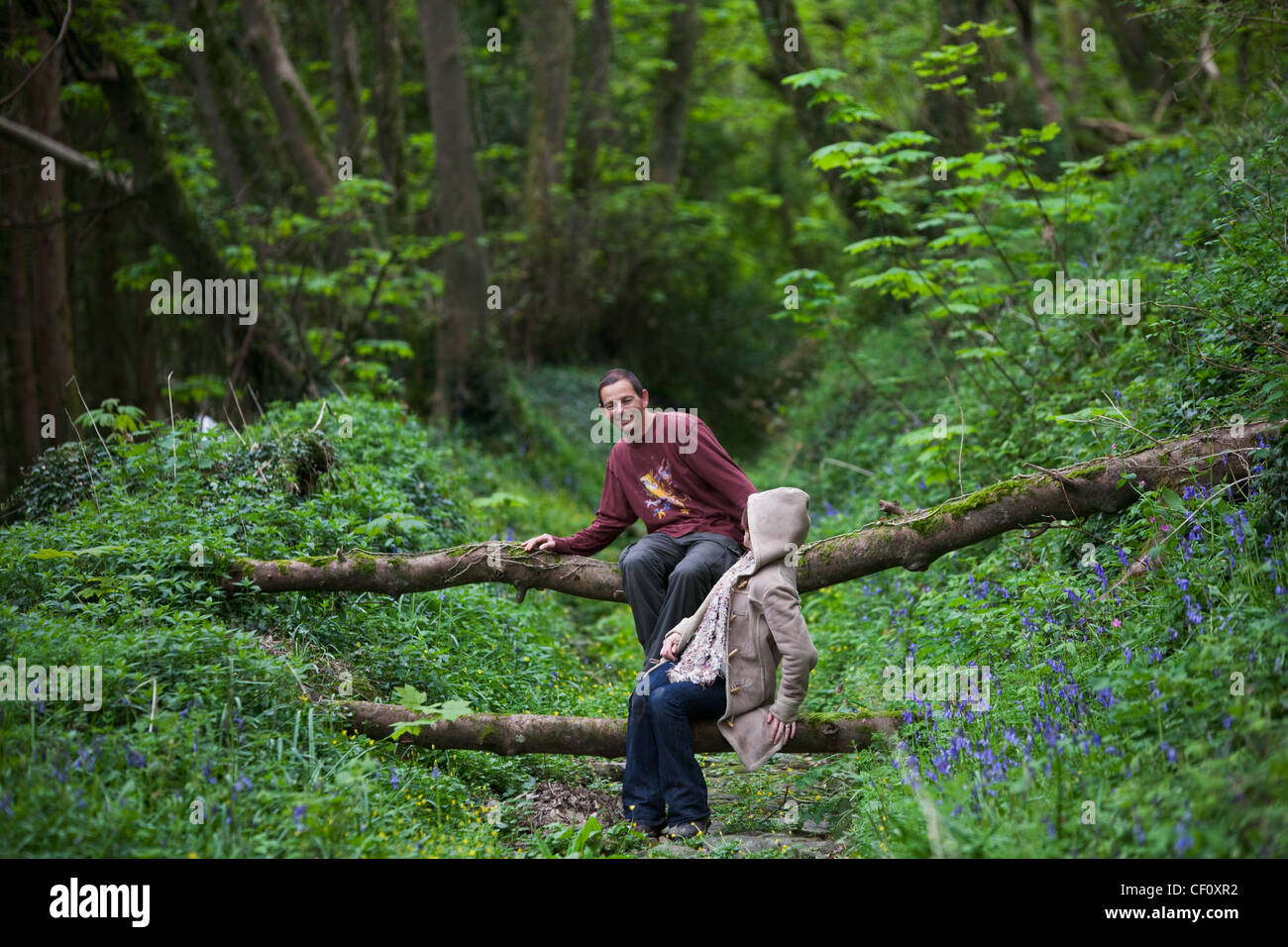 UK, Cornwall, Halford, Padgagarrack Wood, Male and female sitting on ...