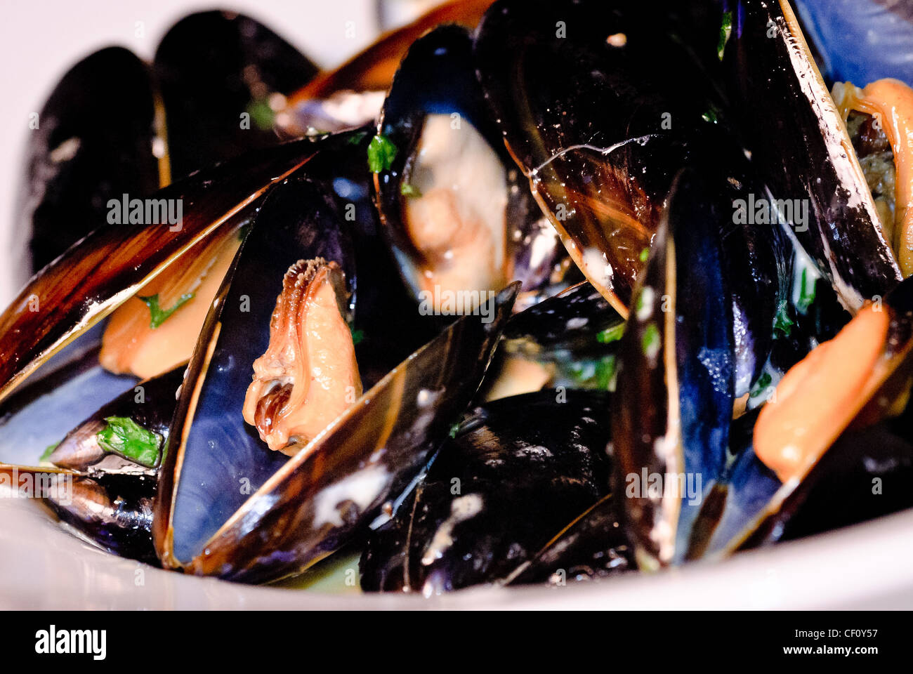Edible crustaceans hi-res stock photography and images - Alamy
