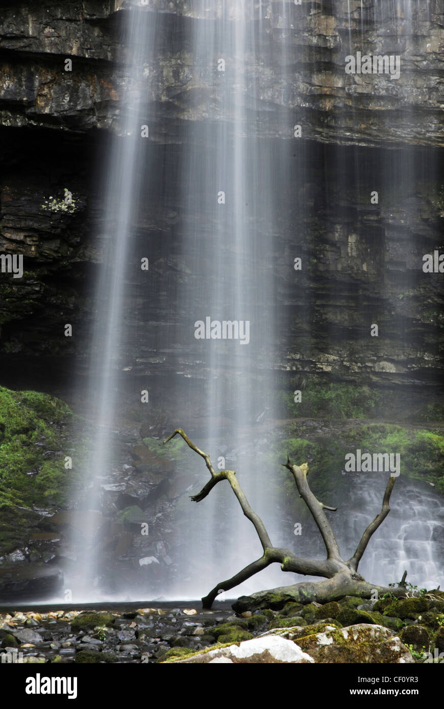 Waterfall tree hi-res stock photography and images - Alamy