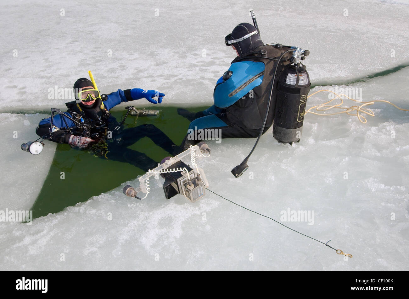 Ice diving in black sea hi-res stock photography and images - Alamy