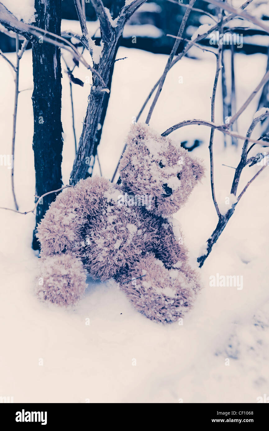 a forgotten teddy in the snow Stock Photo - Alamy
