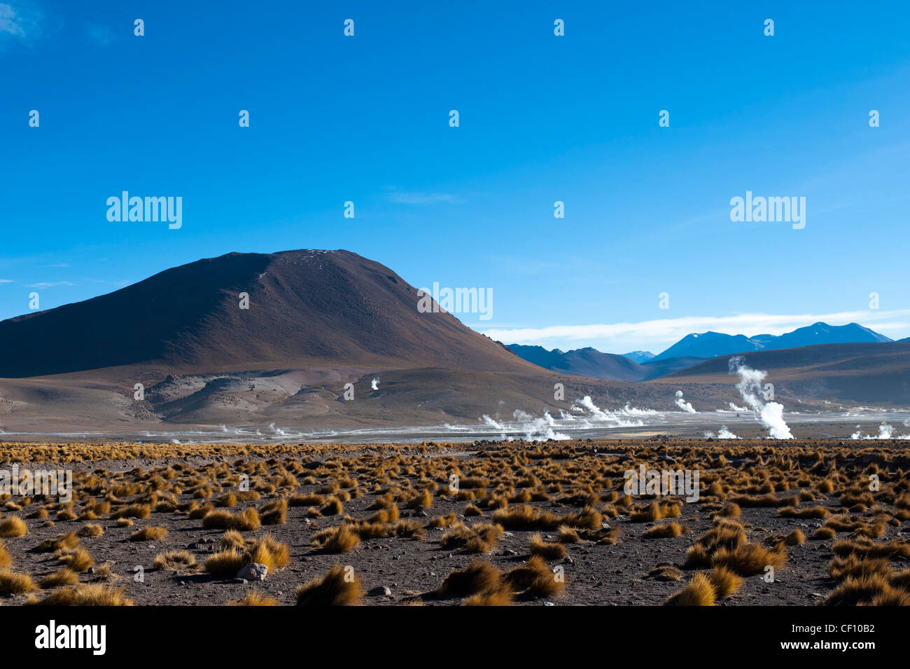 El Tatio Geysers, Atacama Desert, Chile Stock Photo - Alamy