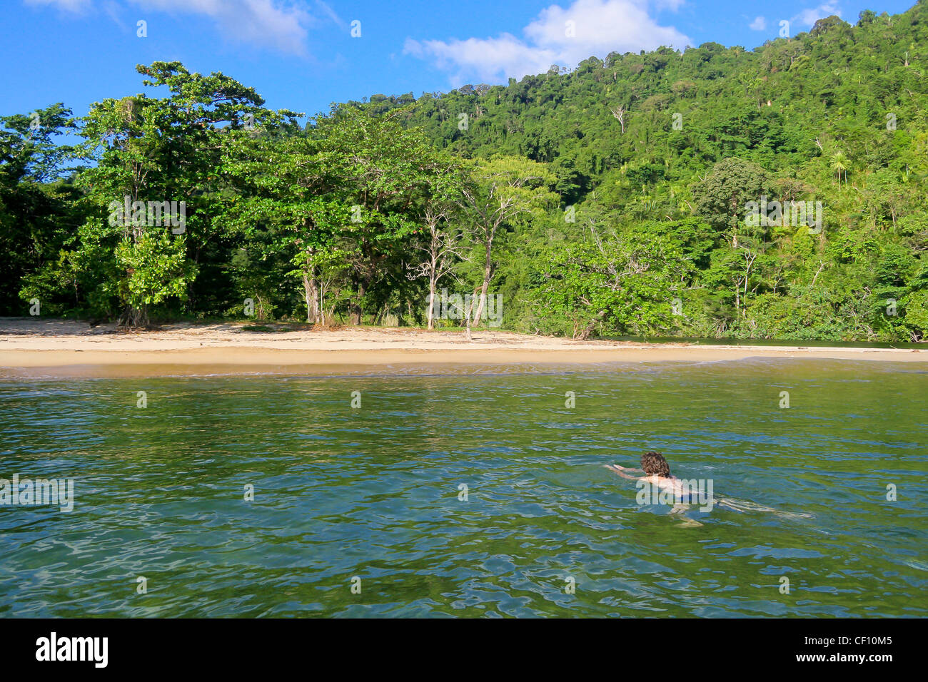 The Antalavia beach and the Masoala forest, Antongil bay, Madagascar ...