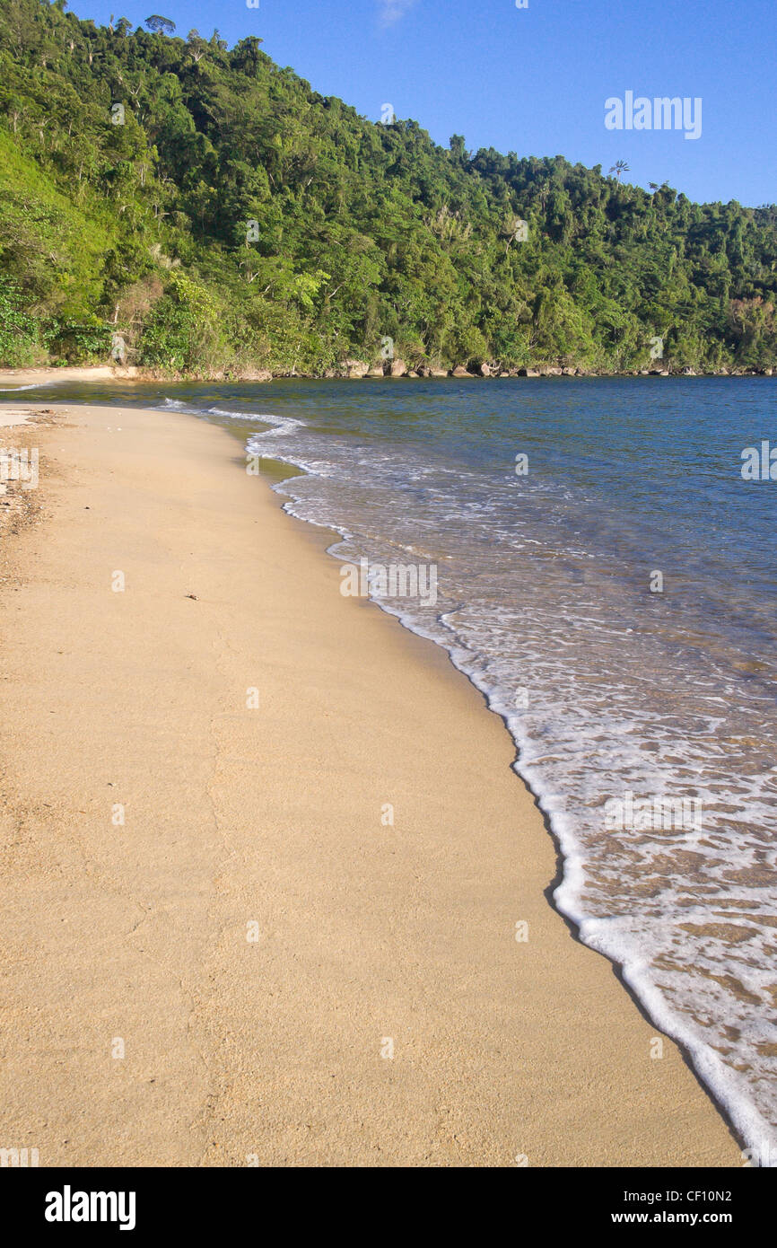 The Antalavia beach and the Masoala forest, Antongil bay, Madagascar ...