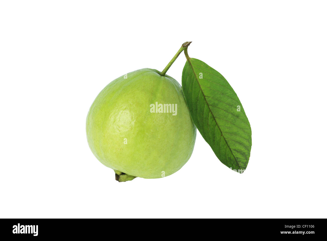 Isolated guava Cut Out Stock Images & Pictures - Alamy