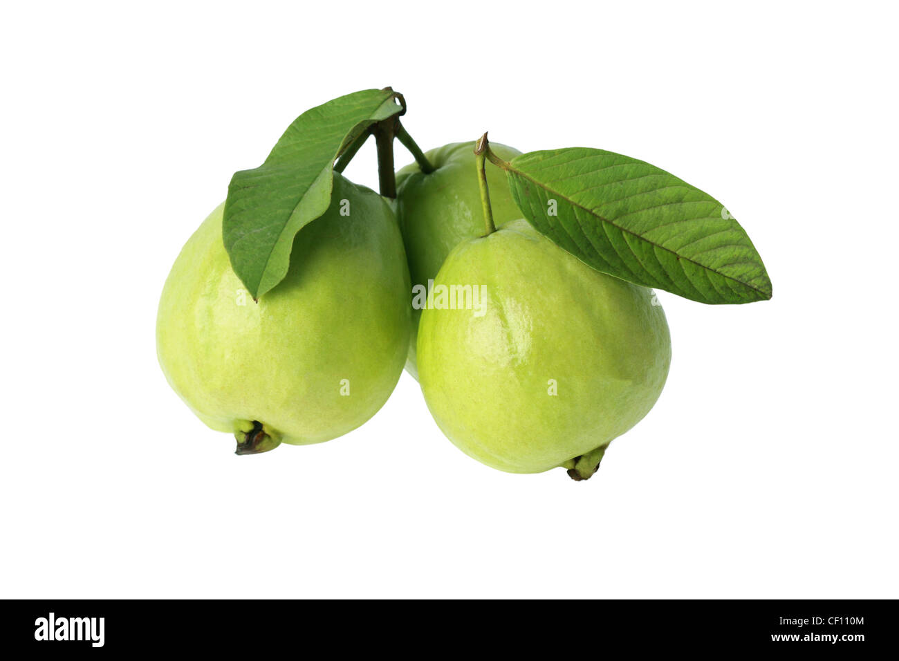 Isolated guava hi-res stock photography and images - Alamy