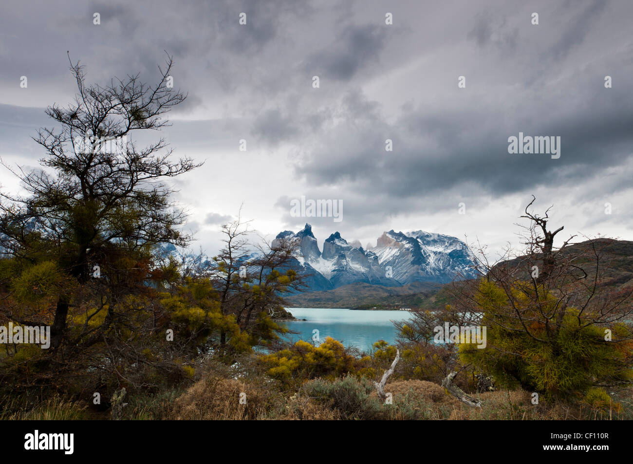 Torres del paine lago pehoe hi-res stock photography and images - Alamy