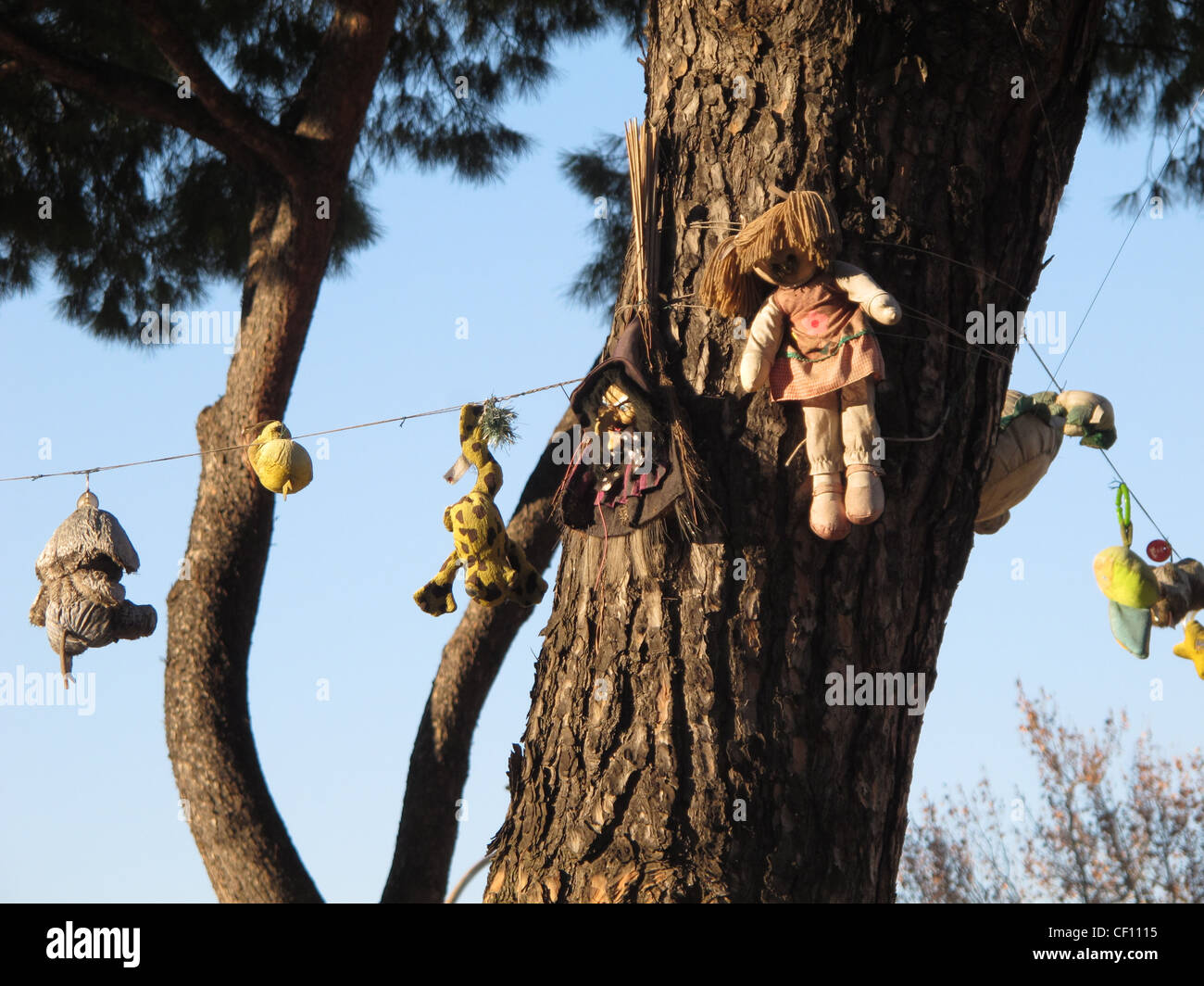 soft toys hanging from trees in children's playground Stock Photo - Alamy